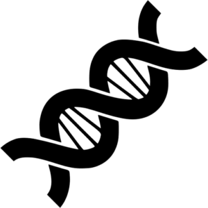 Unlocking Genetic Secrets: Comprehensive Chromosome Analysis Guide
